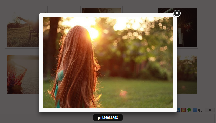 为WordPress加入Fancybox相册功能免插件实现 | 放肆雷特 - 锋哥的博客